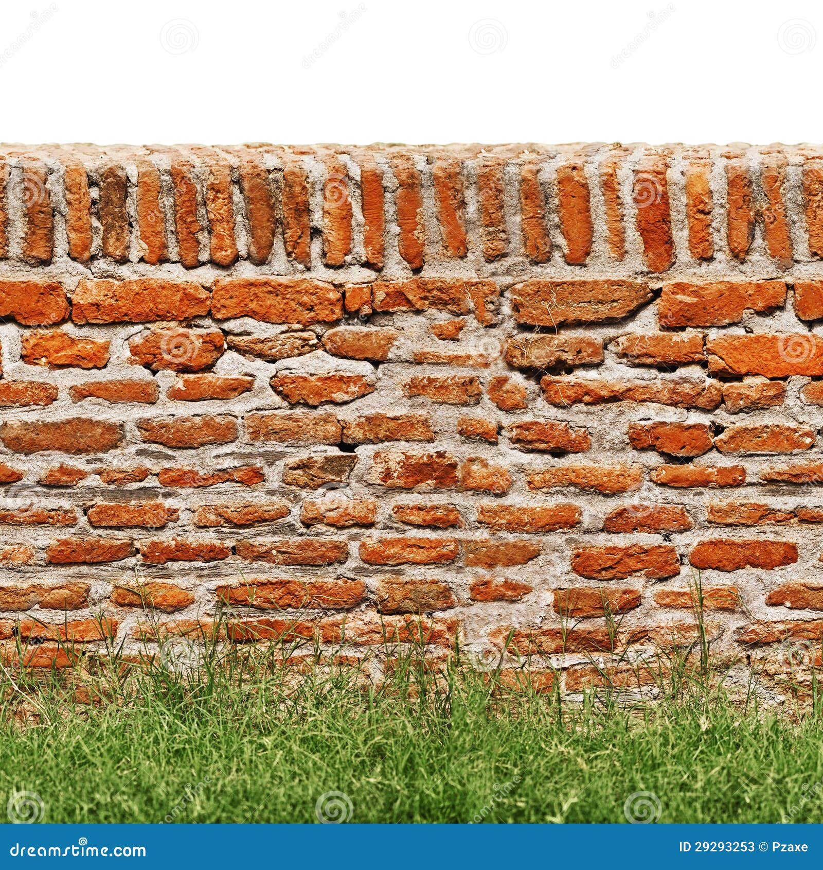 Red Brick Wall with Green Grass Isolated on White Stock Image - Image ...