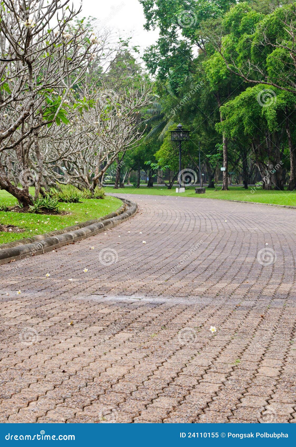 Red brick way stock image. Image of park, green, curve - 24110155