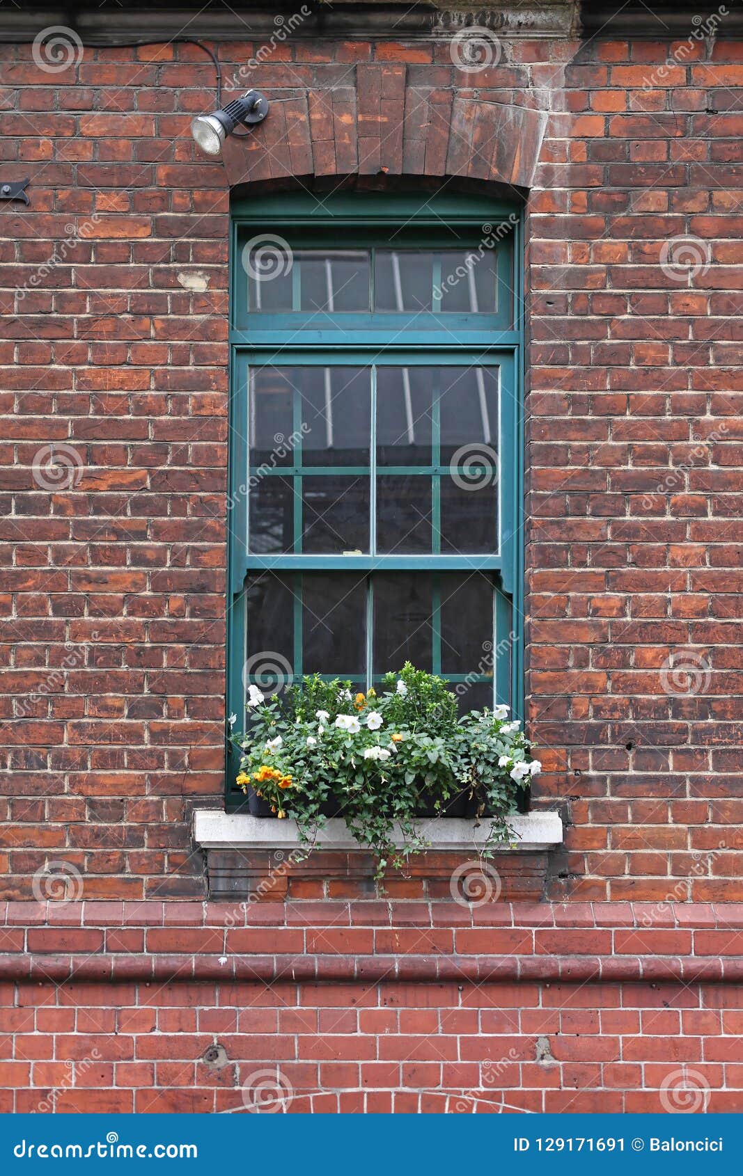 Red Brick Window stock image. Image of glass, plants - 129171691