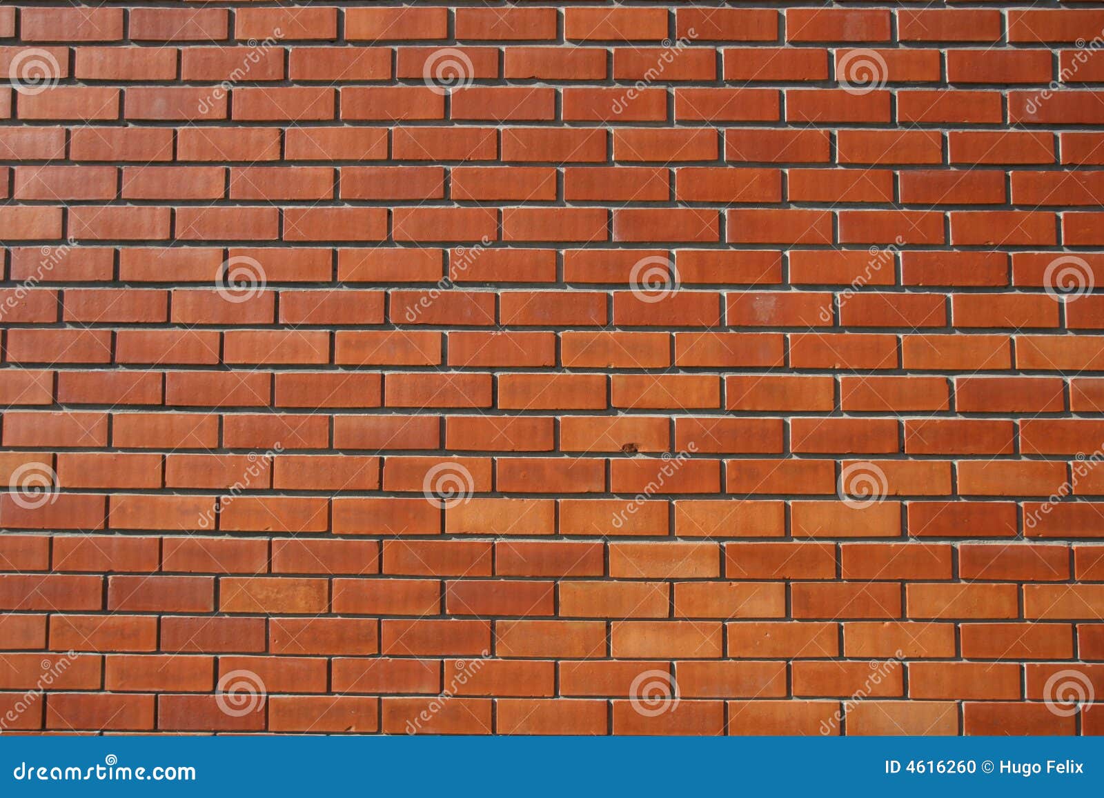 Bug On The Bricked Wall Stock Image | CartoonDealer.com #181769743