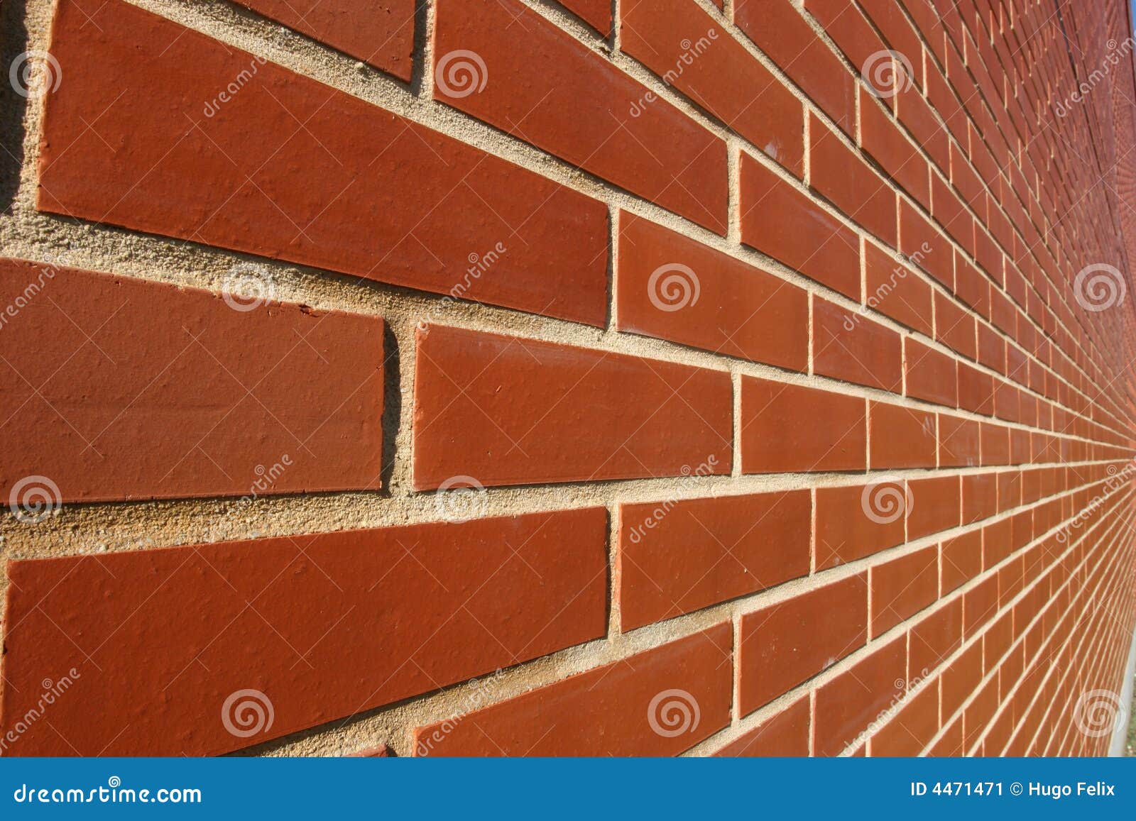 Bug On The Bricked Wall Stock Image | CartoonDealer.com #181769743