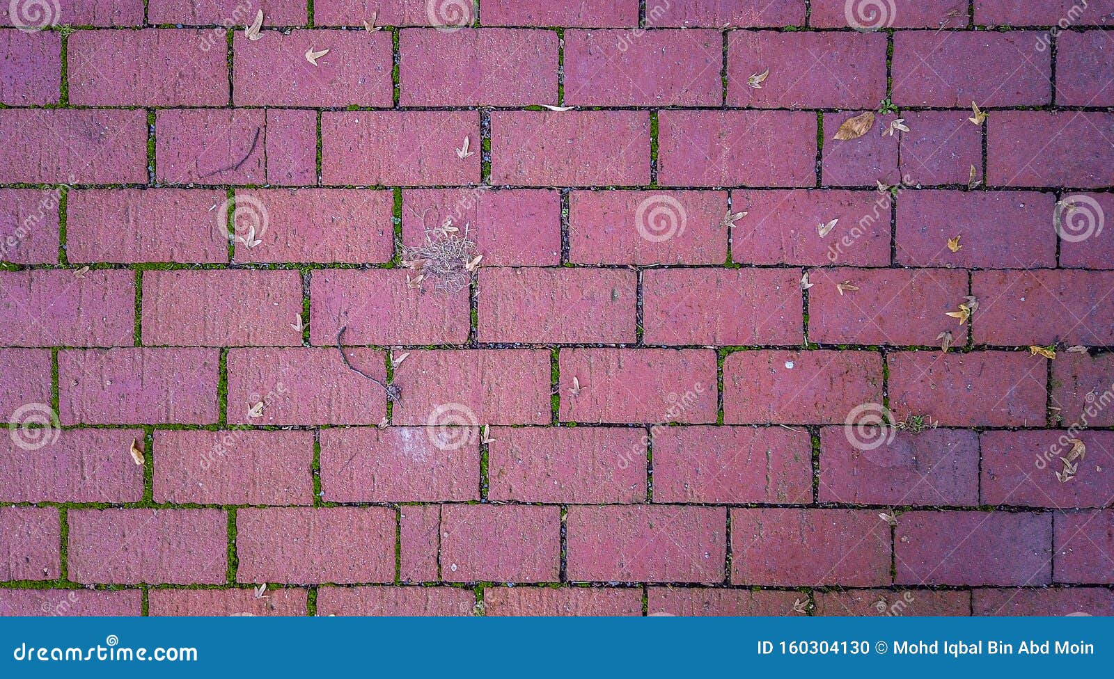 Red Bricks Pattern with Some Dead Leaves Stock Photo - Image of natural ...