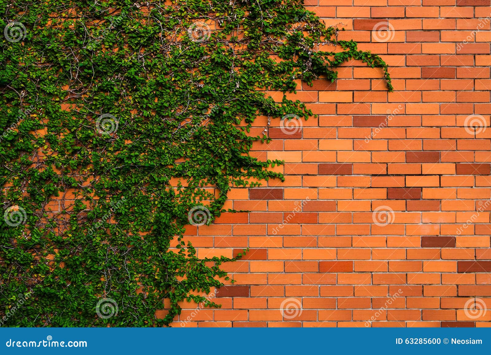 Red bricks wall with tree stock photo. Image of immaculate - 63285600