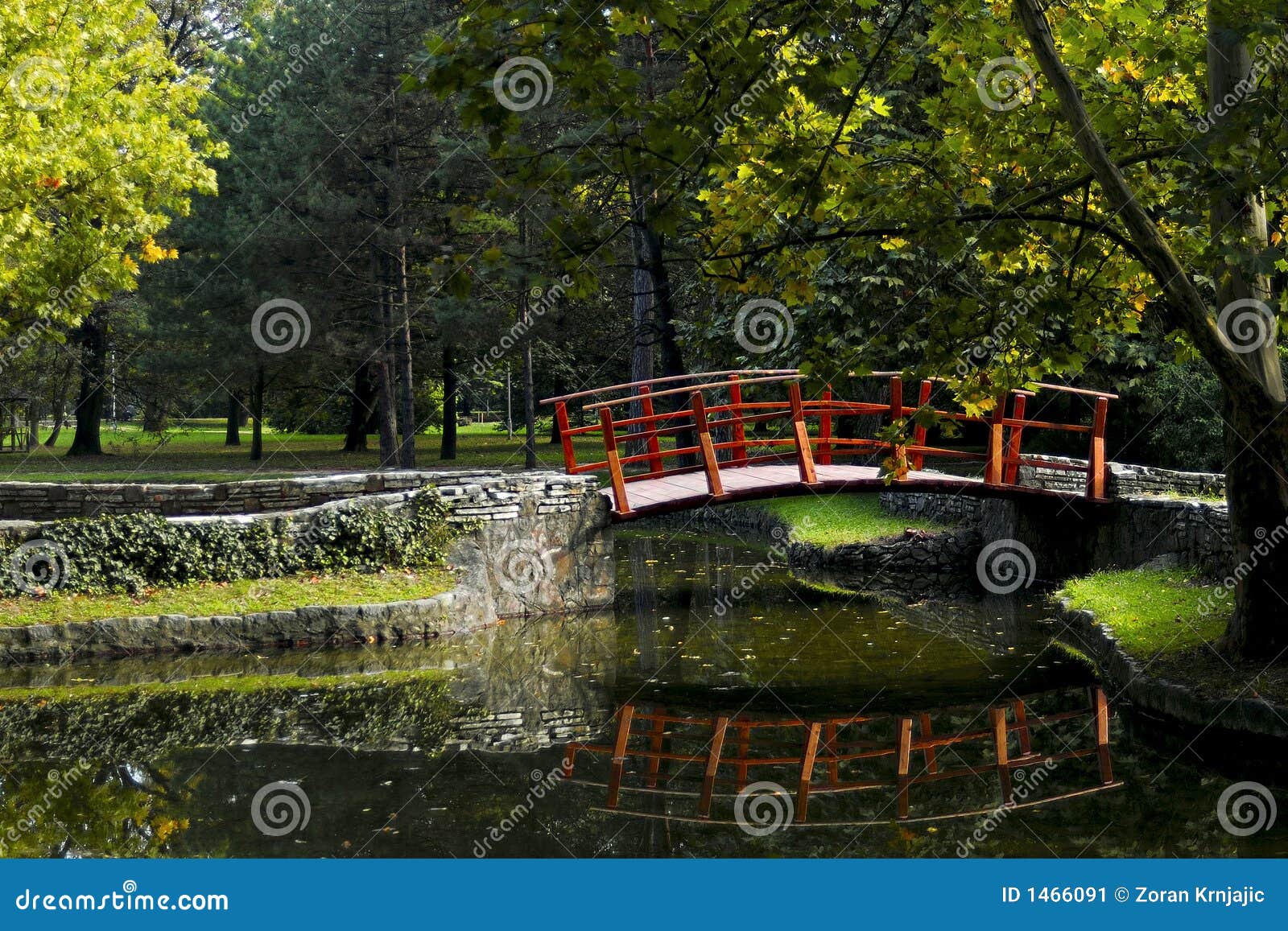 Red bridge stock image. Image of walk, park, autumn, forest - 1466091