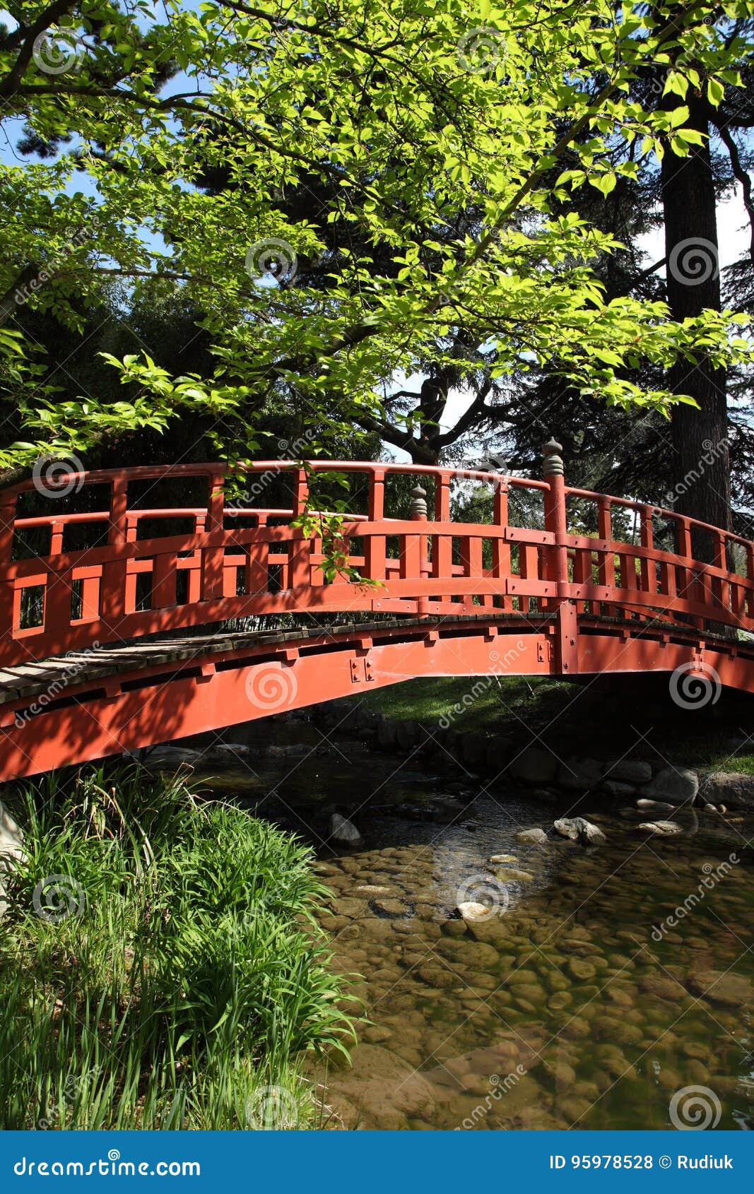 Red bridge in Japan stock photo. Image of shrine, garden - 95978528