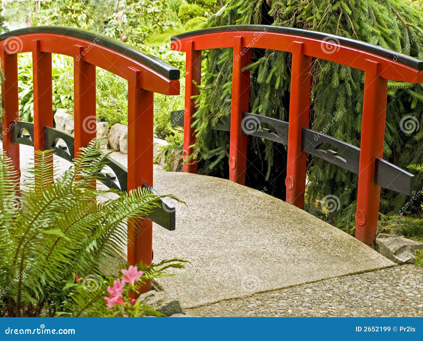 Red Bridge in Japanese Garden Stock Image - Image of landscaping ...