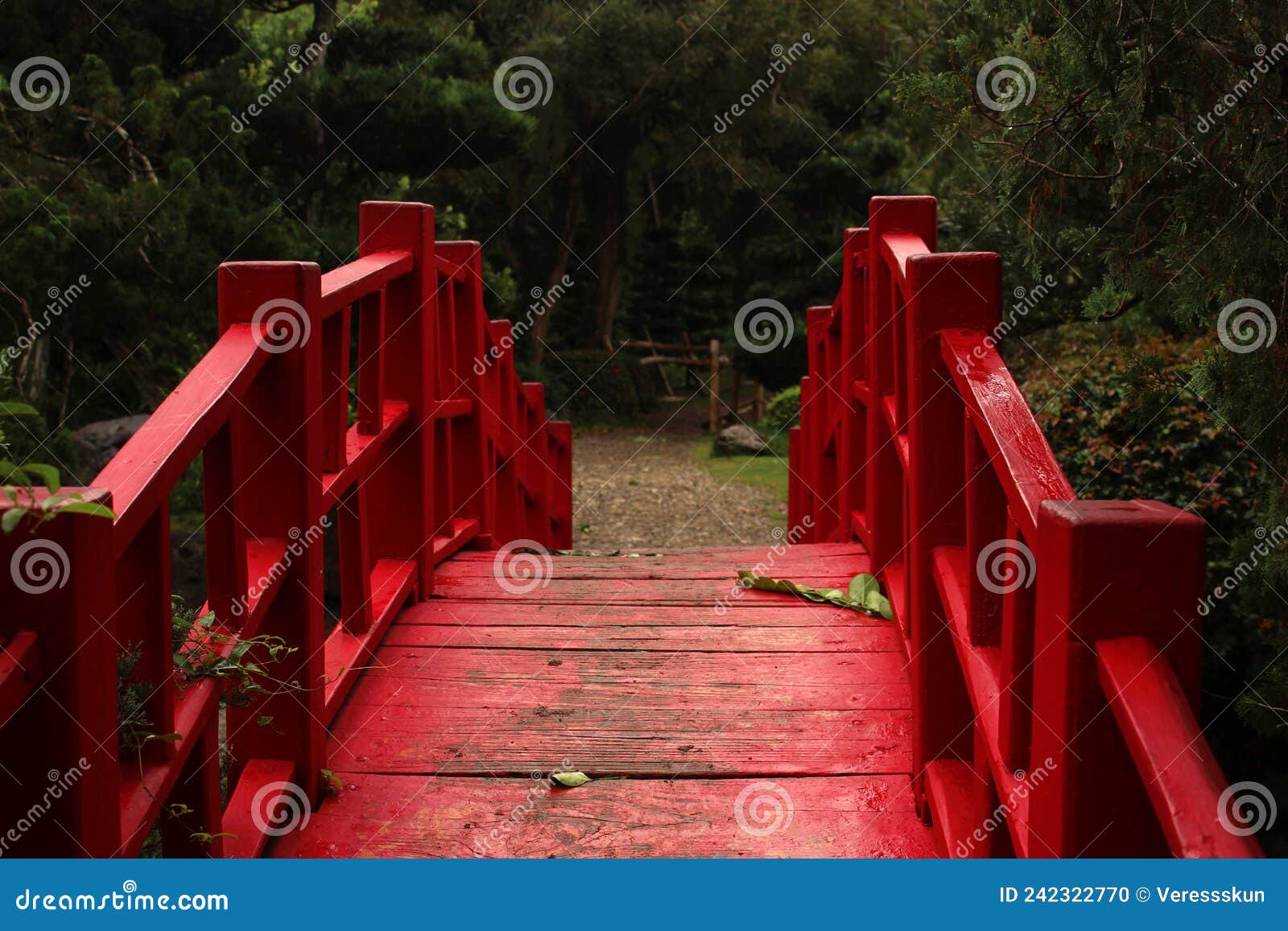 The Red Bridge in the Japanese Garden. Stock Photo - Image of european ...