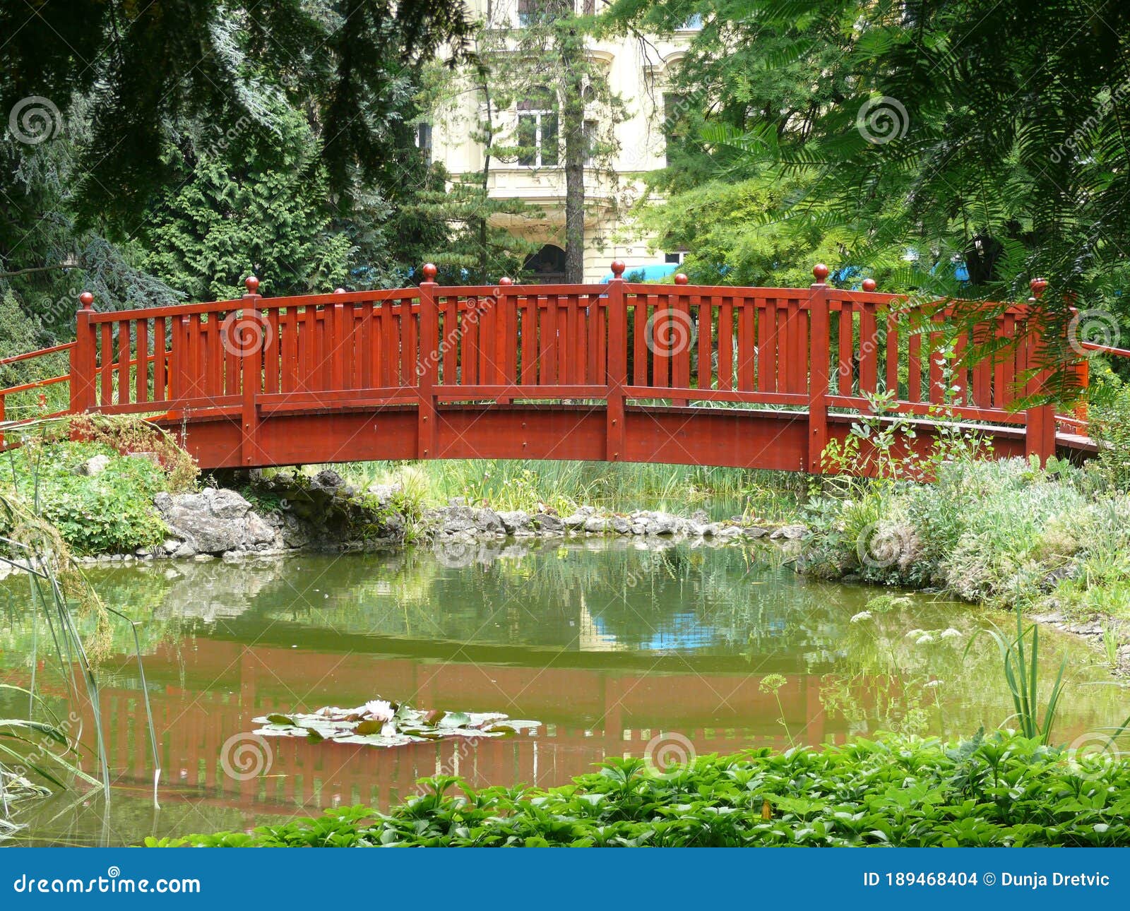 Red Bridge Over Lake at Botanical Gardens Stock Photo - Image of ...