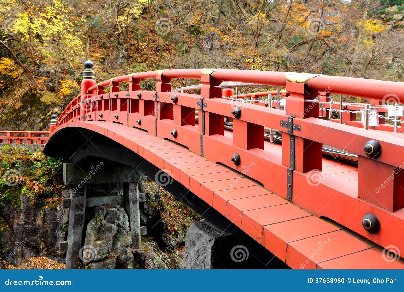 Red Bridge Shinkyo in Japan Stock Photo - Image of maple, heritage ...