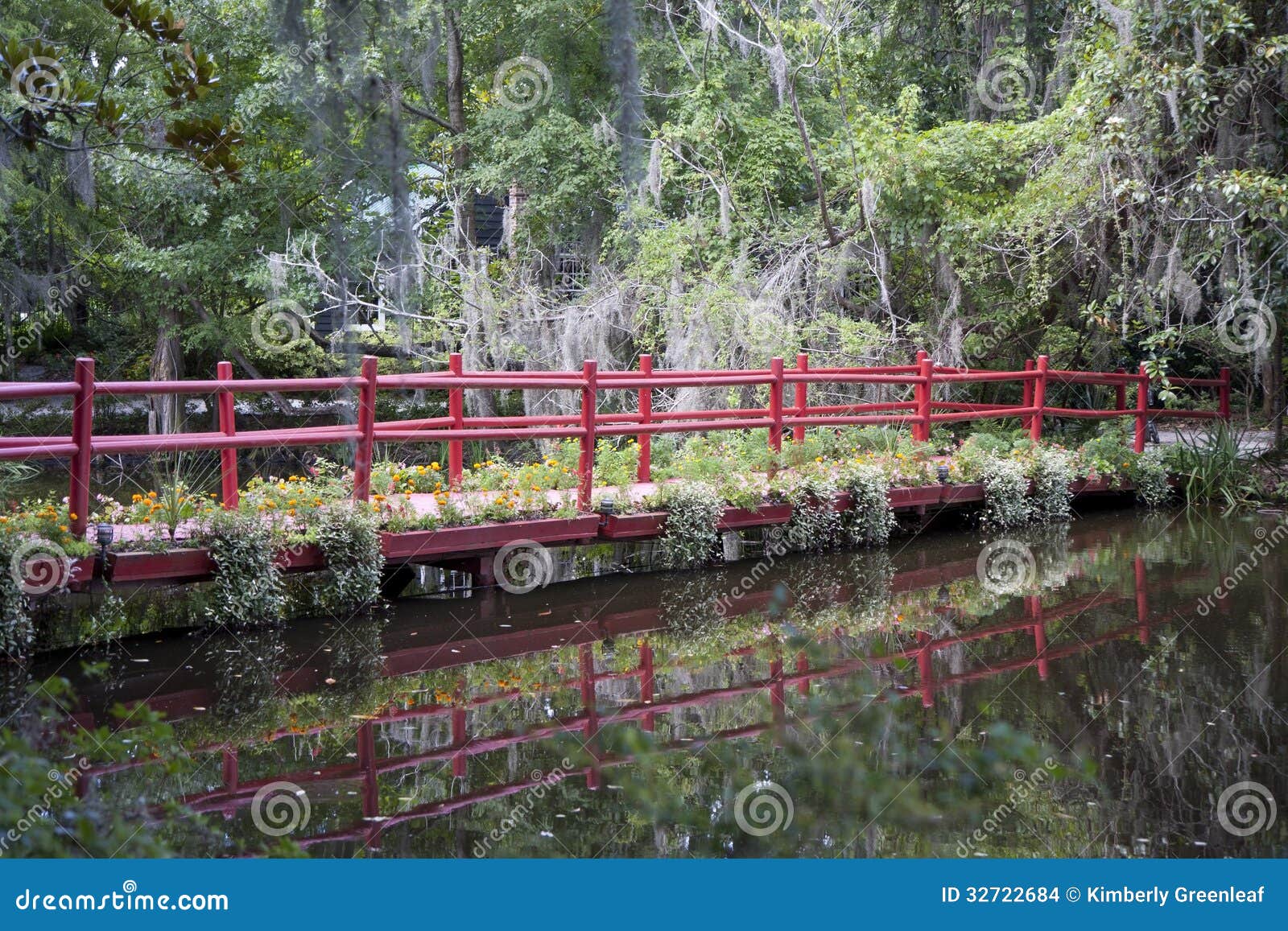 Red Bridge through the Swamp Stock Photo - Image of bridge, swamp: 32722684