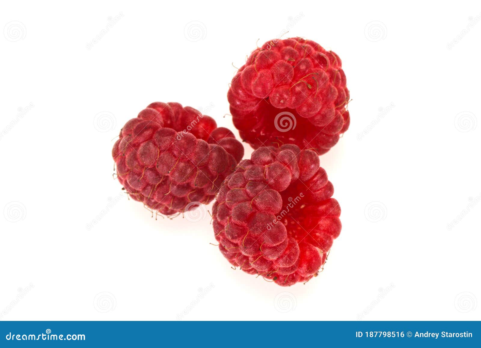 Red Bright Ripe Sweet Raspberry Stock Photo - Image of organic ...