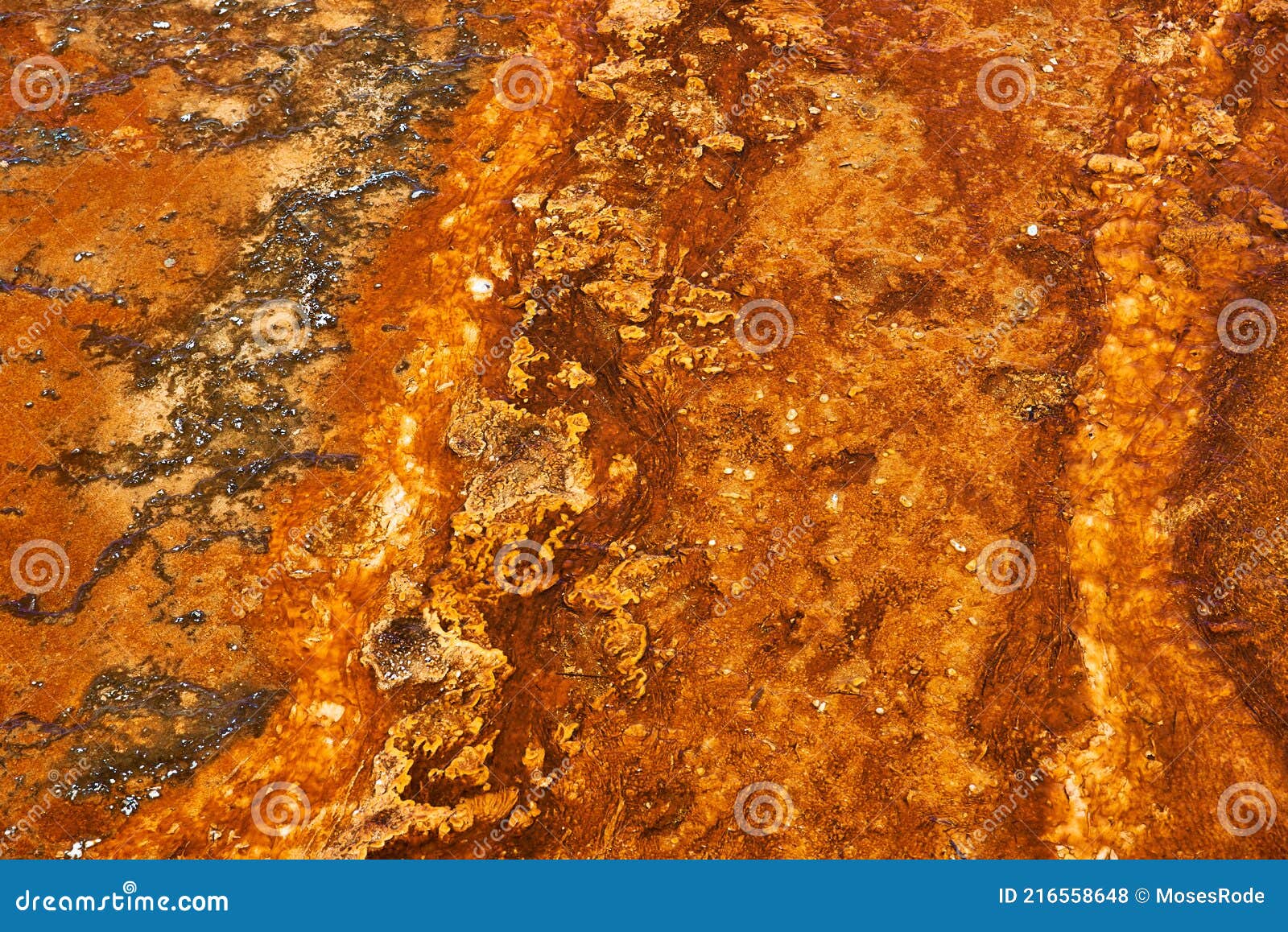 Red Brown Colored Earth in Yellowstone Park Stock Photo - Image of ...