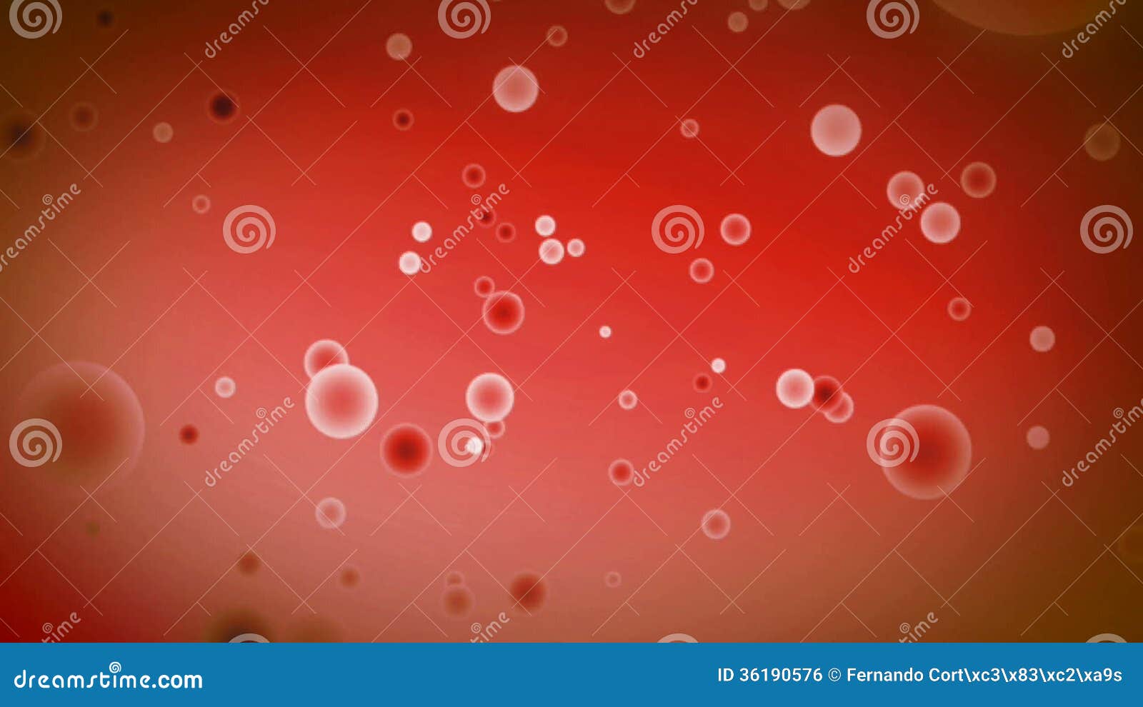 Red Bubbles Video Background. High Definition and Smooth Movement ...