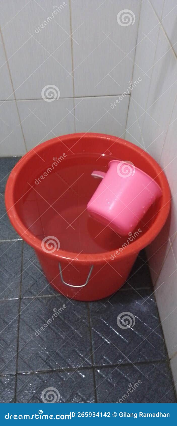 Red Bucket Filled with Water Stock Photo - Image of play, circle: 265934142