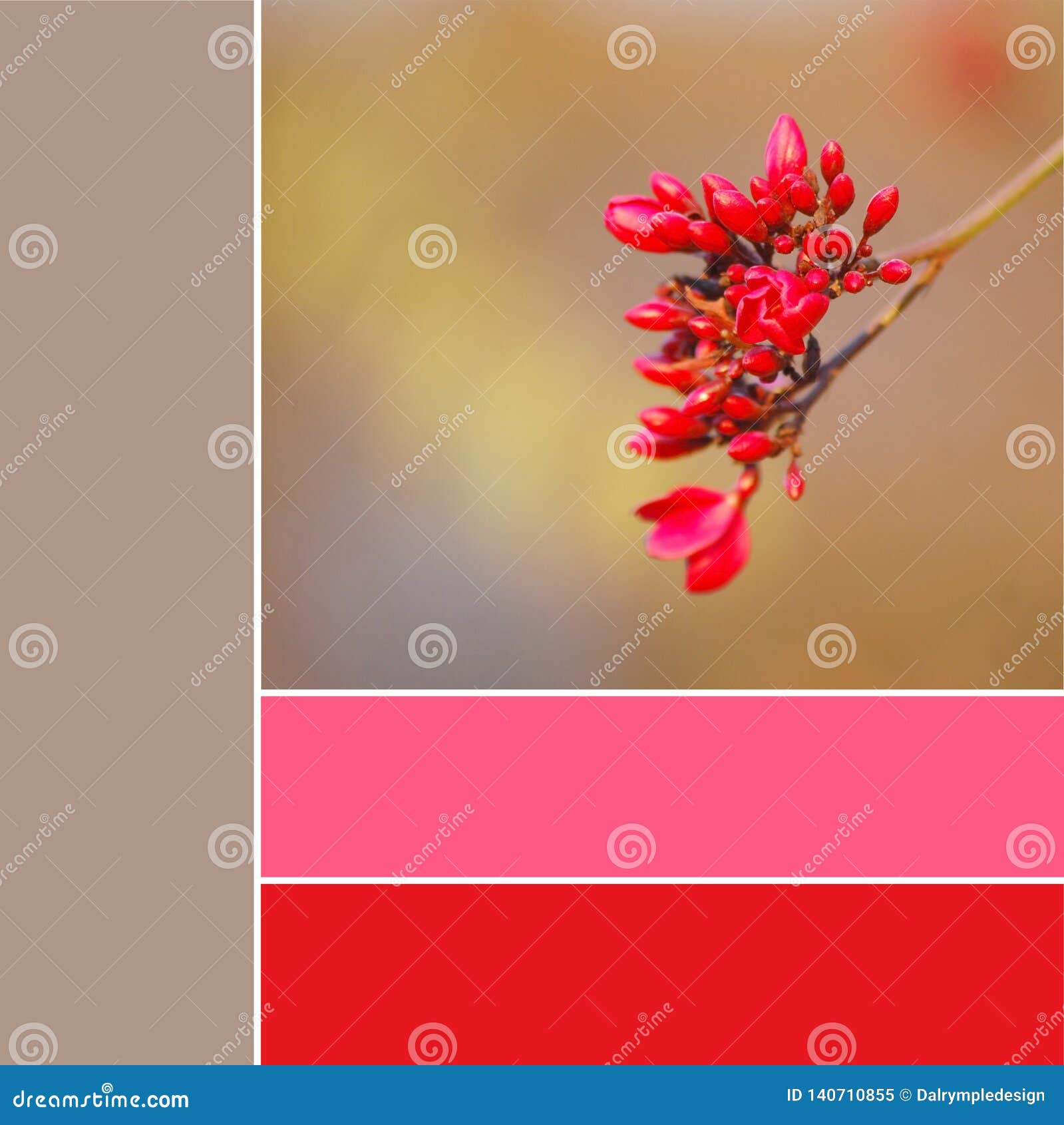 Red Budding Flowers with Color Palette Stock Image - Image of palette, macro: 140710855