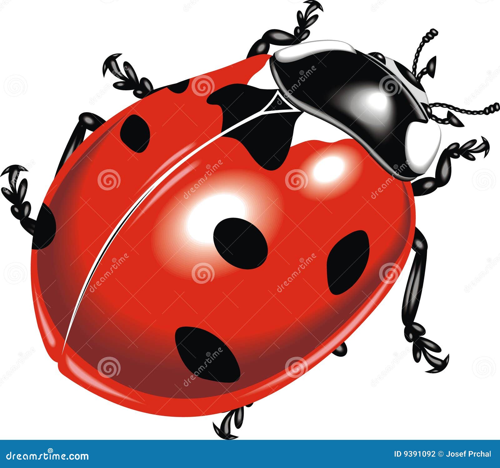 Red bug stock vector. Illustration of nature, beetle, sign - 9391092