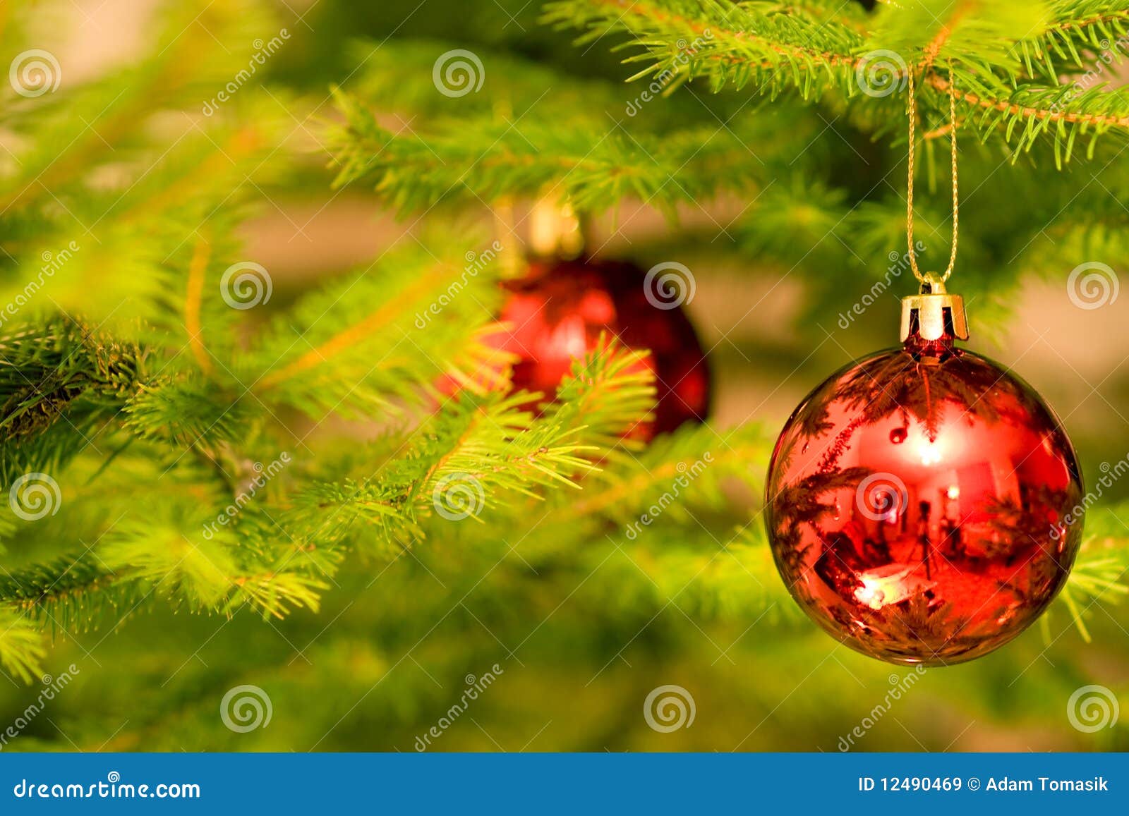 Red bulb. stock image. Image of glass, bulb, ornament - 12490469