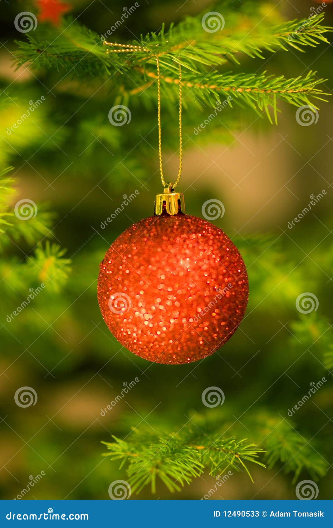 Red bulb. stock image. Image of tree, close, holiday - 12490533