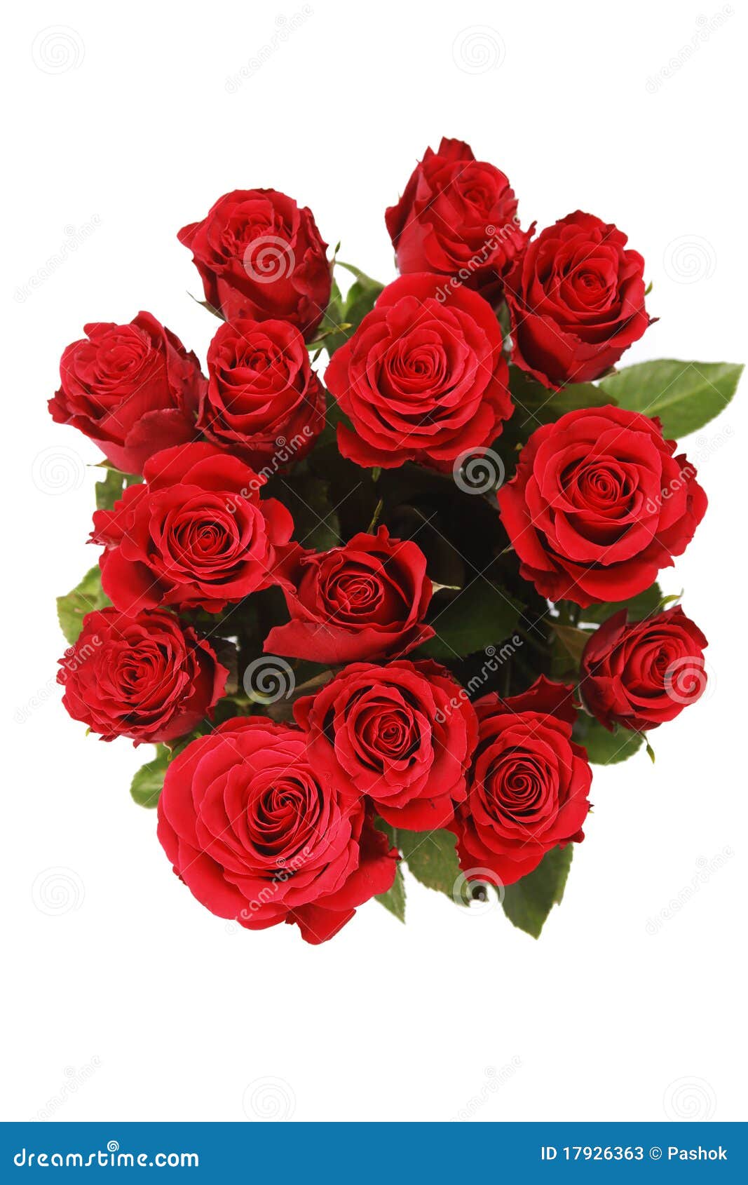 Red bunch stock image. Image of life, nature, congratulate - 17926363