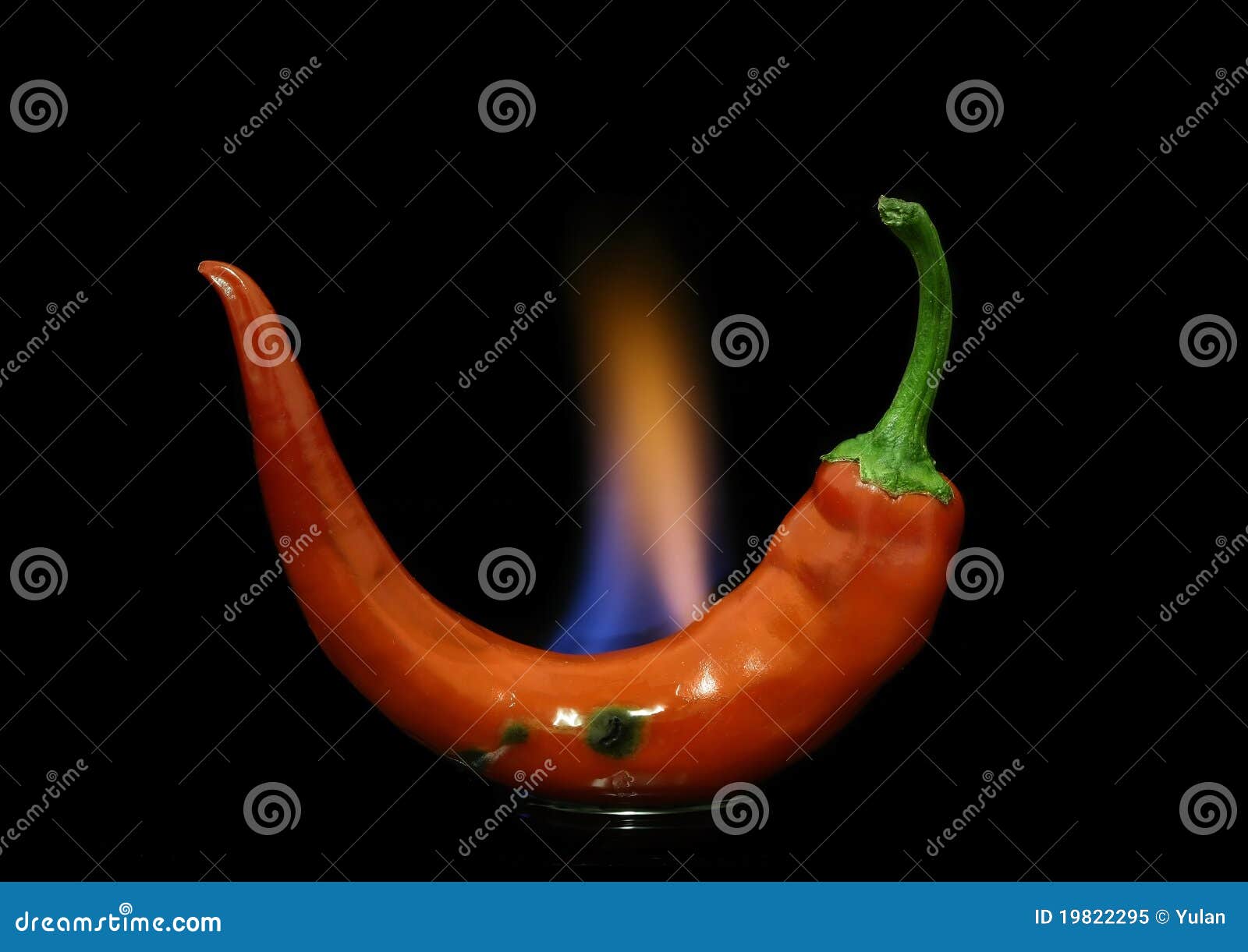 A red burning chili stock image. Image of creativity - 19822295