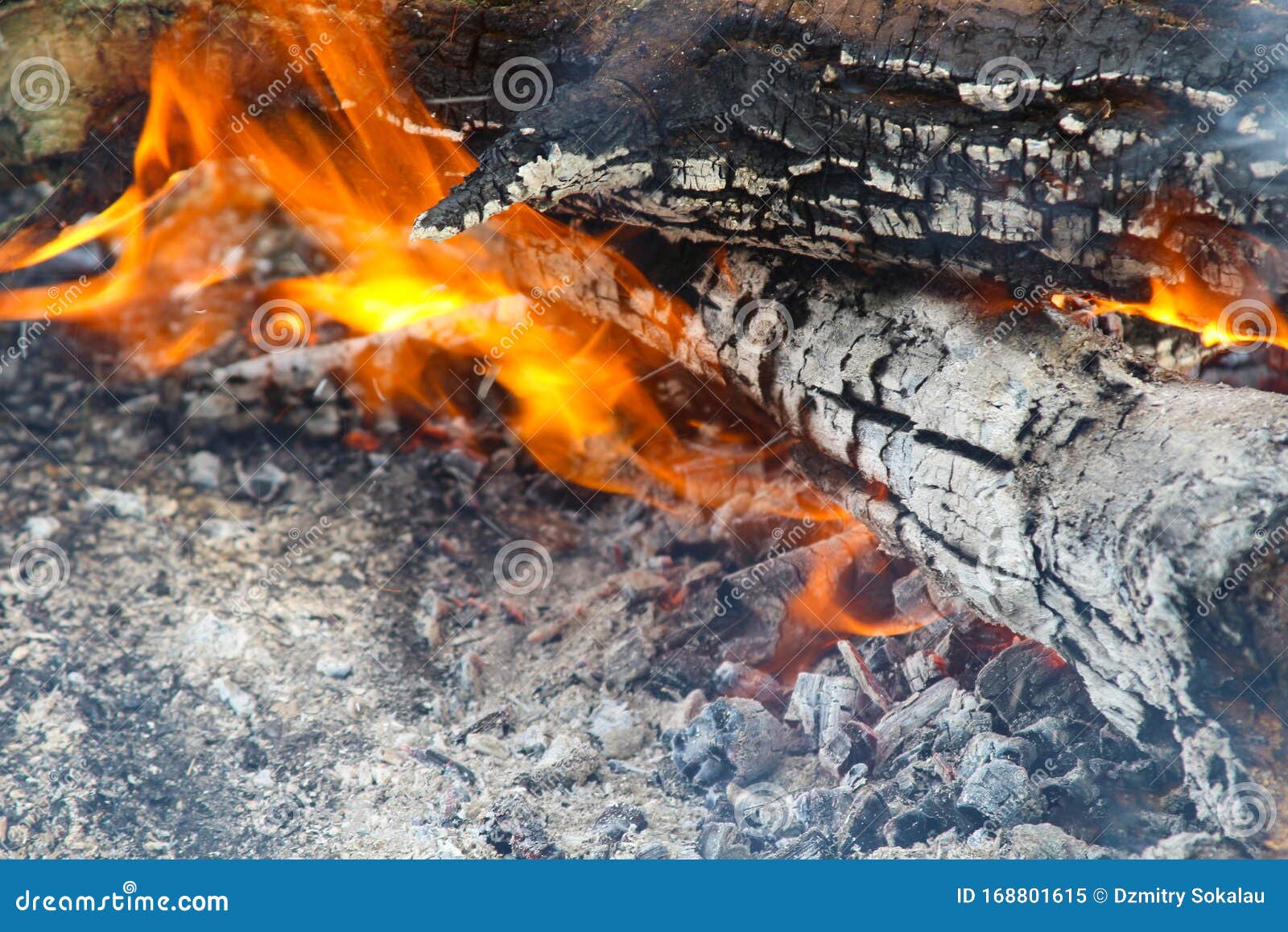 Red Burning Fire Embers Smoulder Burnt Tree Stock Image - Image of ...