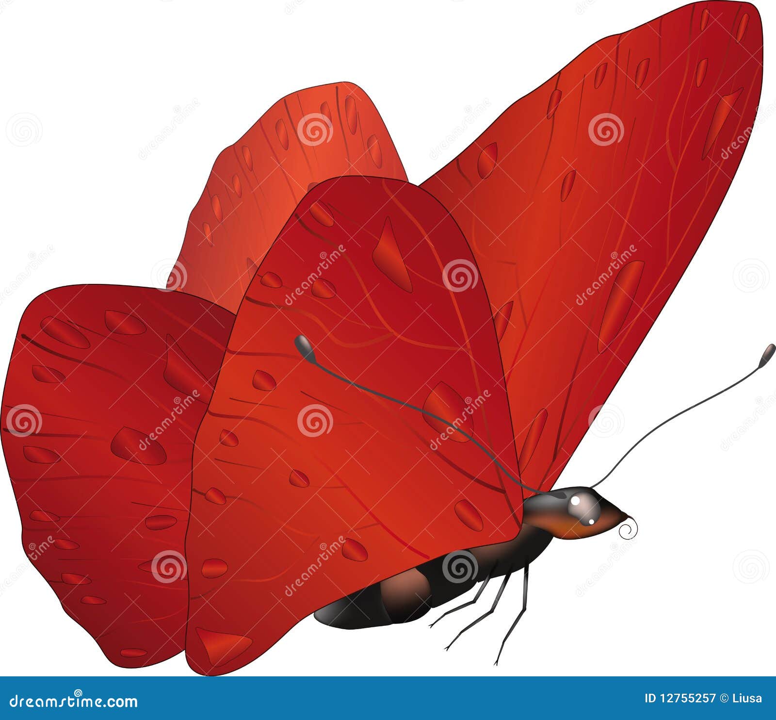 Red butterfly stock vector. Illustration of collection - 12755257