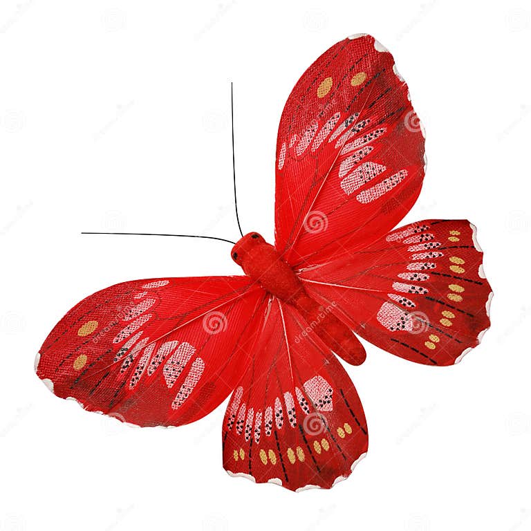 Red butterfly stock image. Image of closeup, feather - 13738155