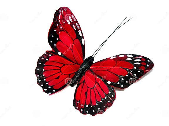 Red butterfly stock image. Image of outdoors, elegance - 5786303