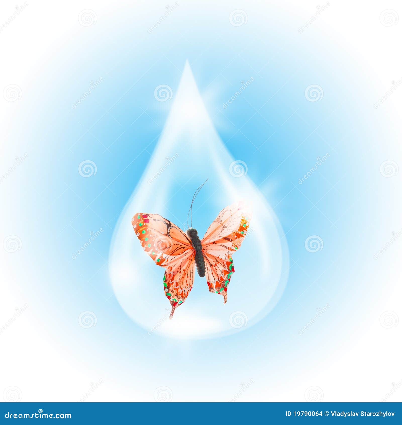 Red Butterfly in a Drop of Water Stock Photo - Image of environment ...