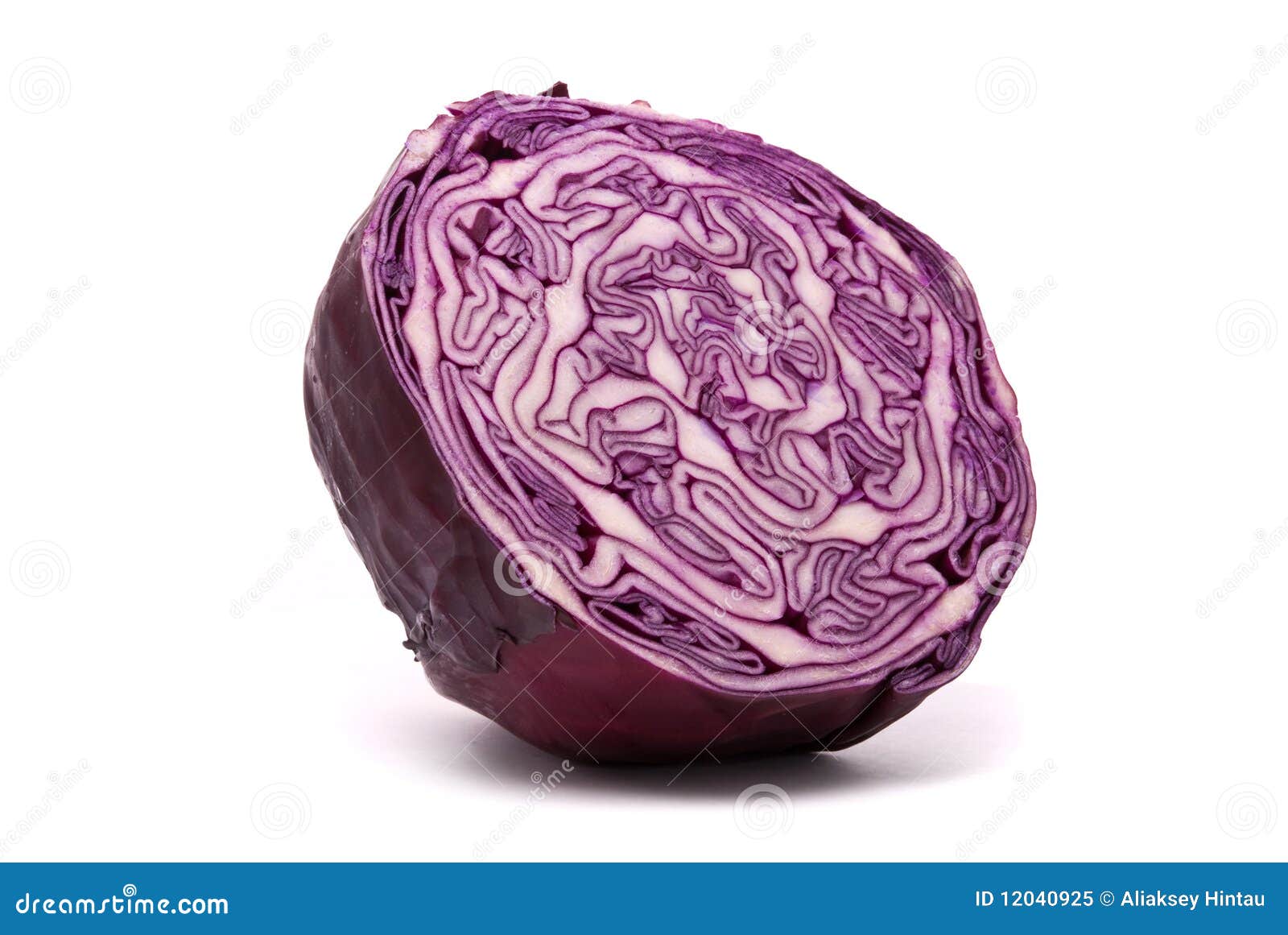 Red cabbage stock image. Image of healthy, nature, delicious - 12040925