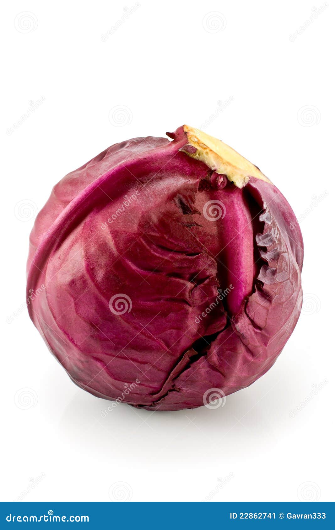 Red cabbage stock image. Image of meal, harvest, natural - 22862741