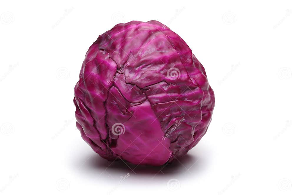 Red cabbage stock photo. Image of garden, circle, swirled - 25287670