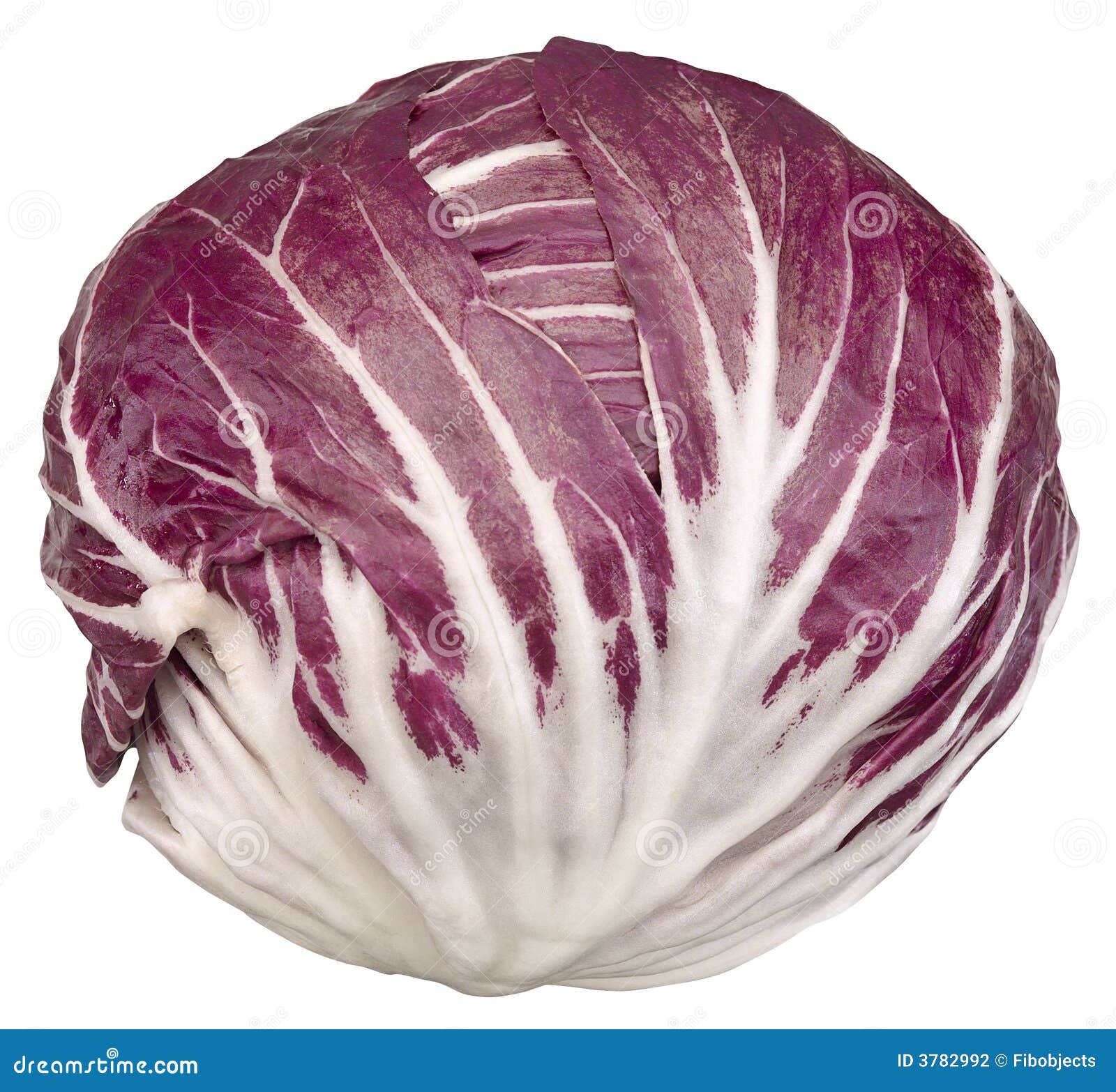 Red Cabbage stock photo. Image of ingredients, vegetables - 3782992