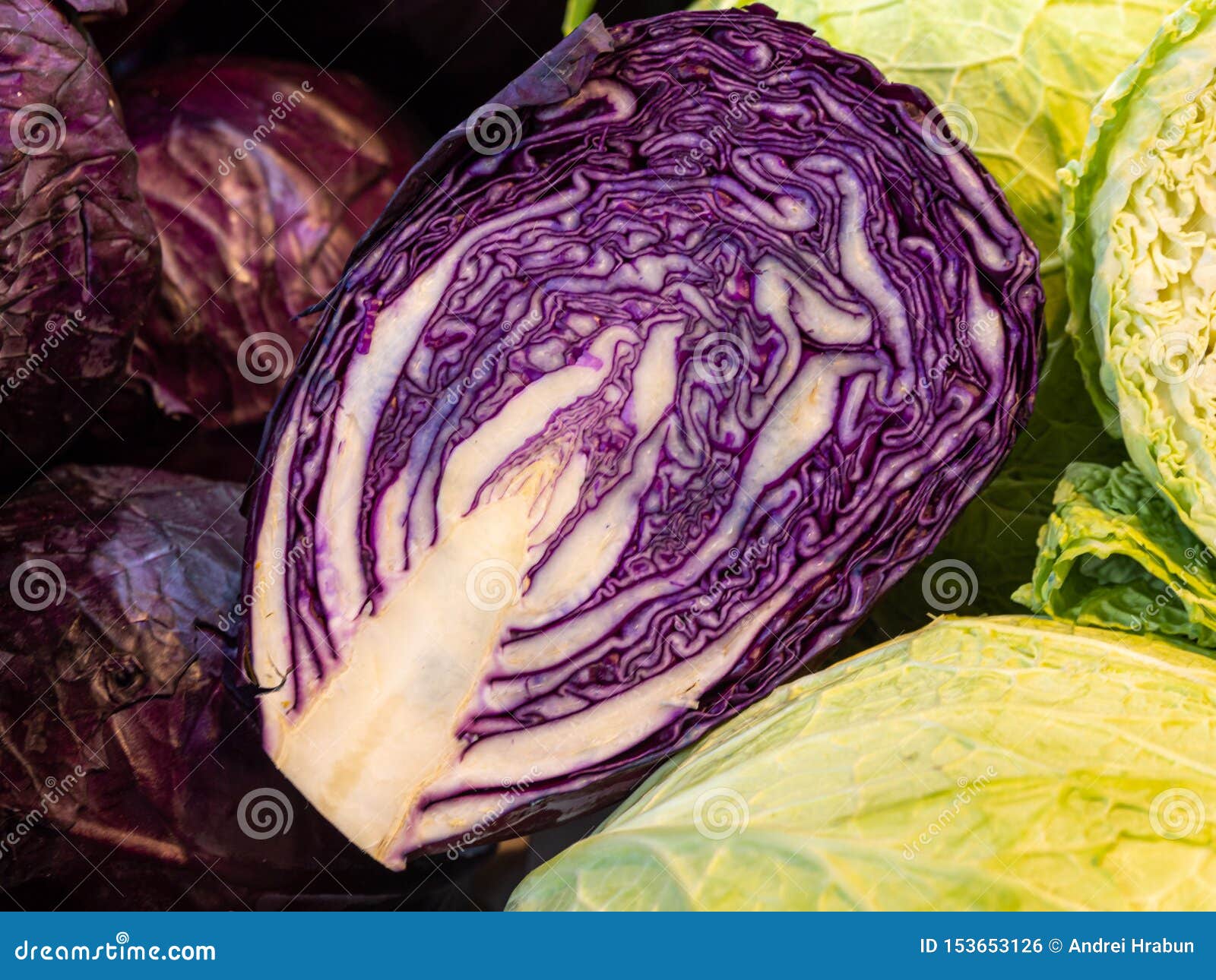 Red Cabbage Close-up. the Texture of the Cut Cabbage Stock Photo ...