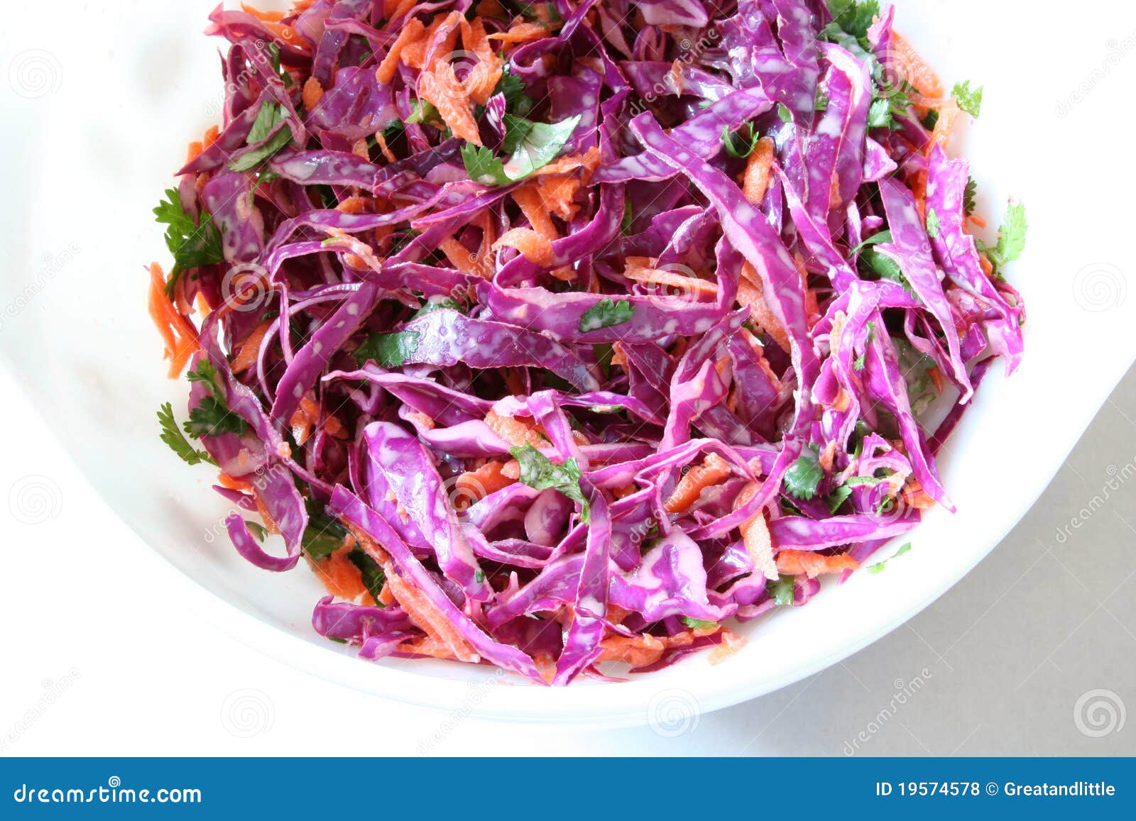 Red cabbage cole slaw stock photo. Image of bowl, orange - 19574578