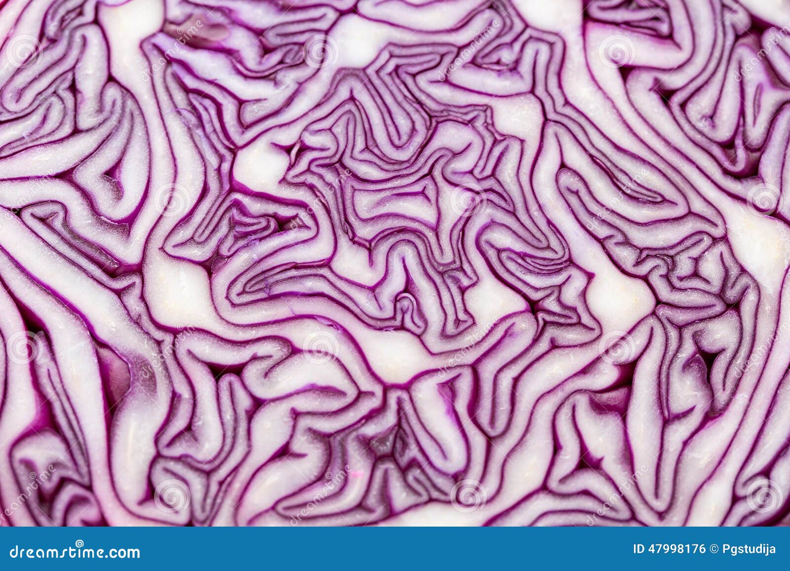 Red Cabbage Cut Closeup Texture Stock Photo - Image of vegetables ...