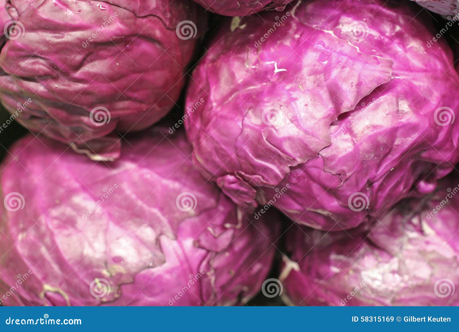 Red cabbage stock image. Image of ingredient, healthy - 58315169