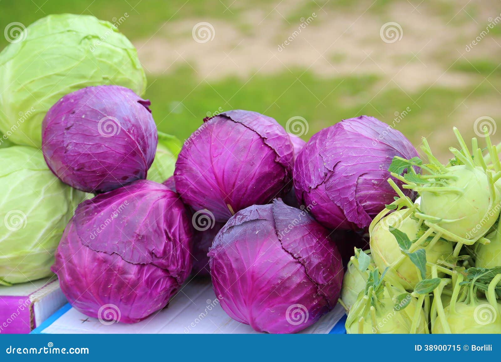 Cabbage stock image. Image of organic, vegetarian, natural - 38900715