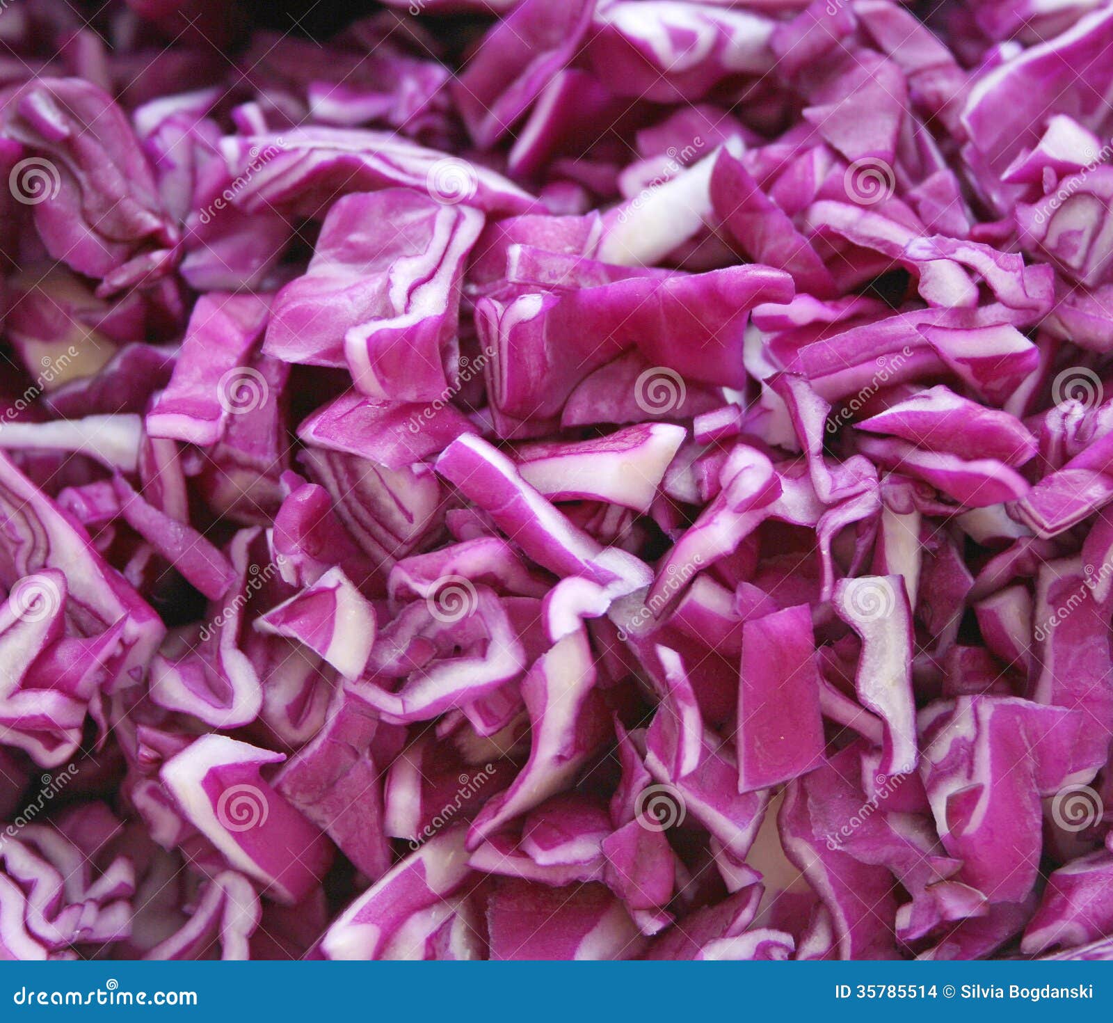 Red cabbage stock photo. Image of cabbage, collage, plant - 35785514