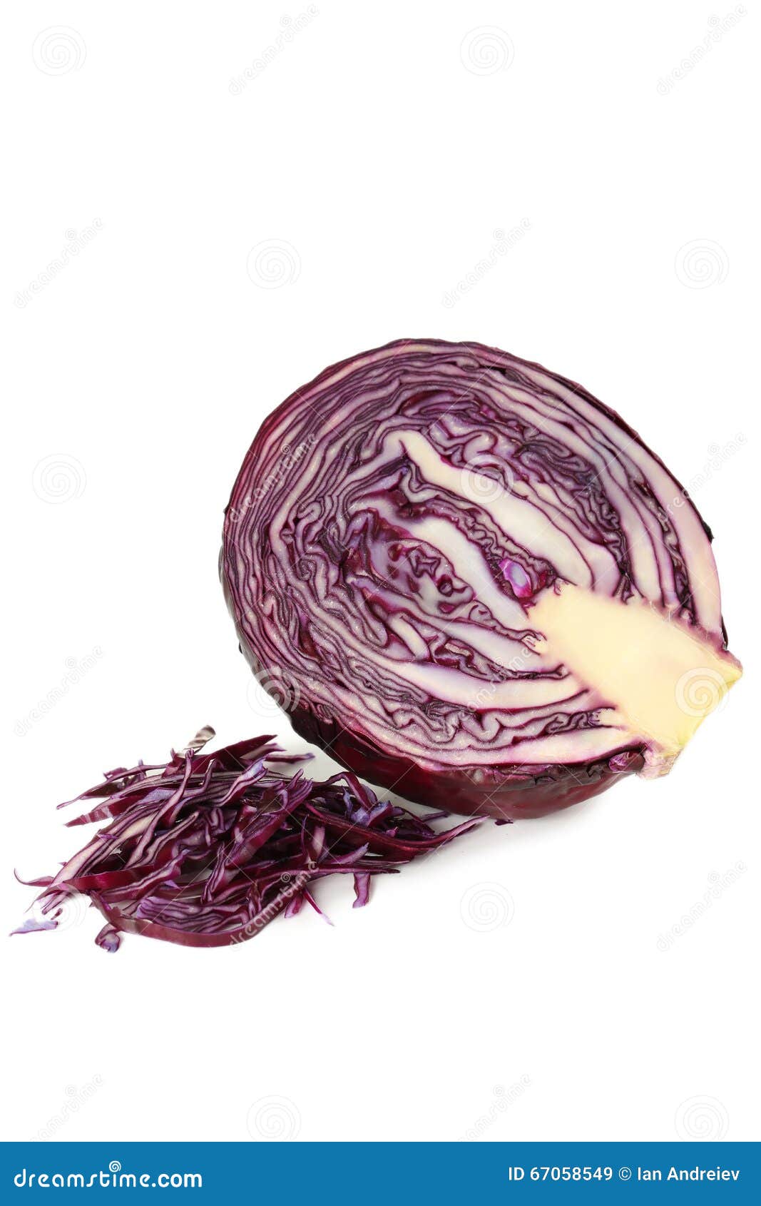 Red cabbage stock image. Image of leaf, harvest, fresh - 67058549