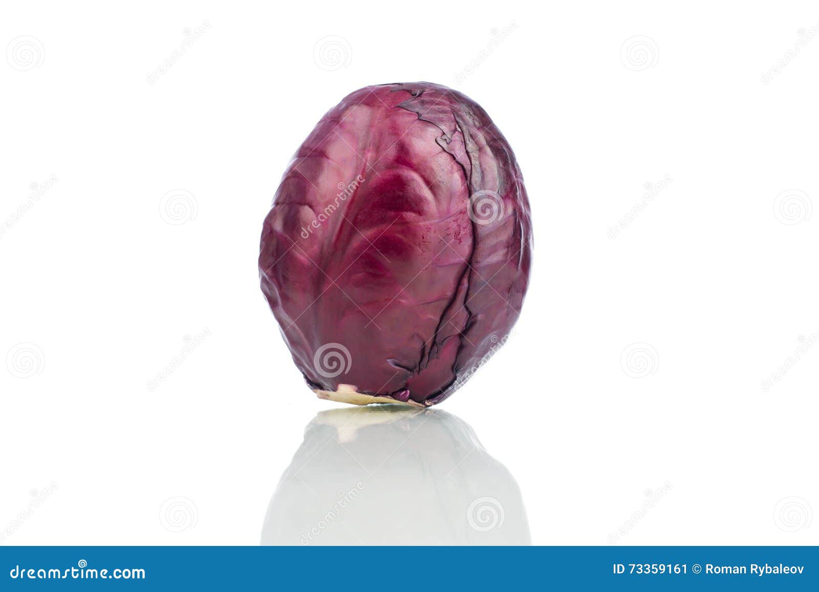 Red Cabbage Isolated on White Background Stock Image - Image of organic ...