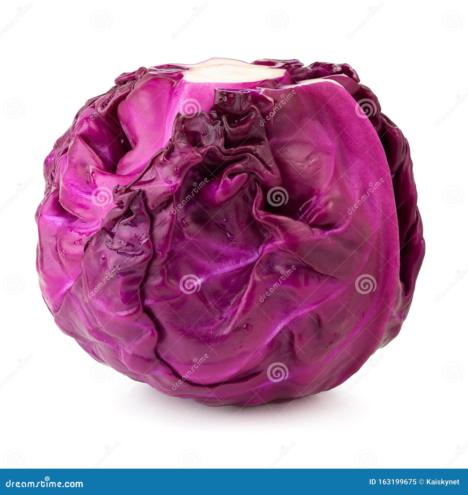 Red Cabbage Isolated on a White Background Stock Image - Image of ...