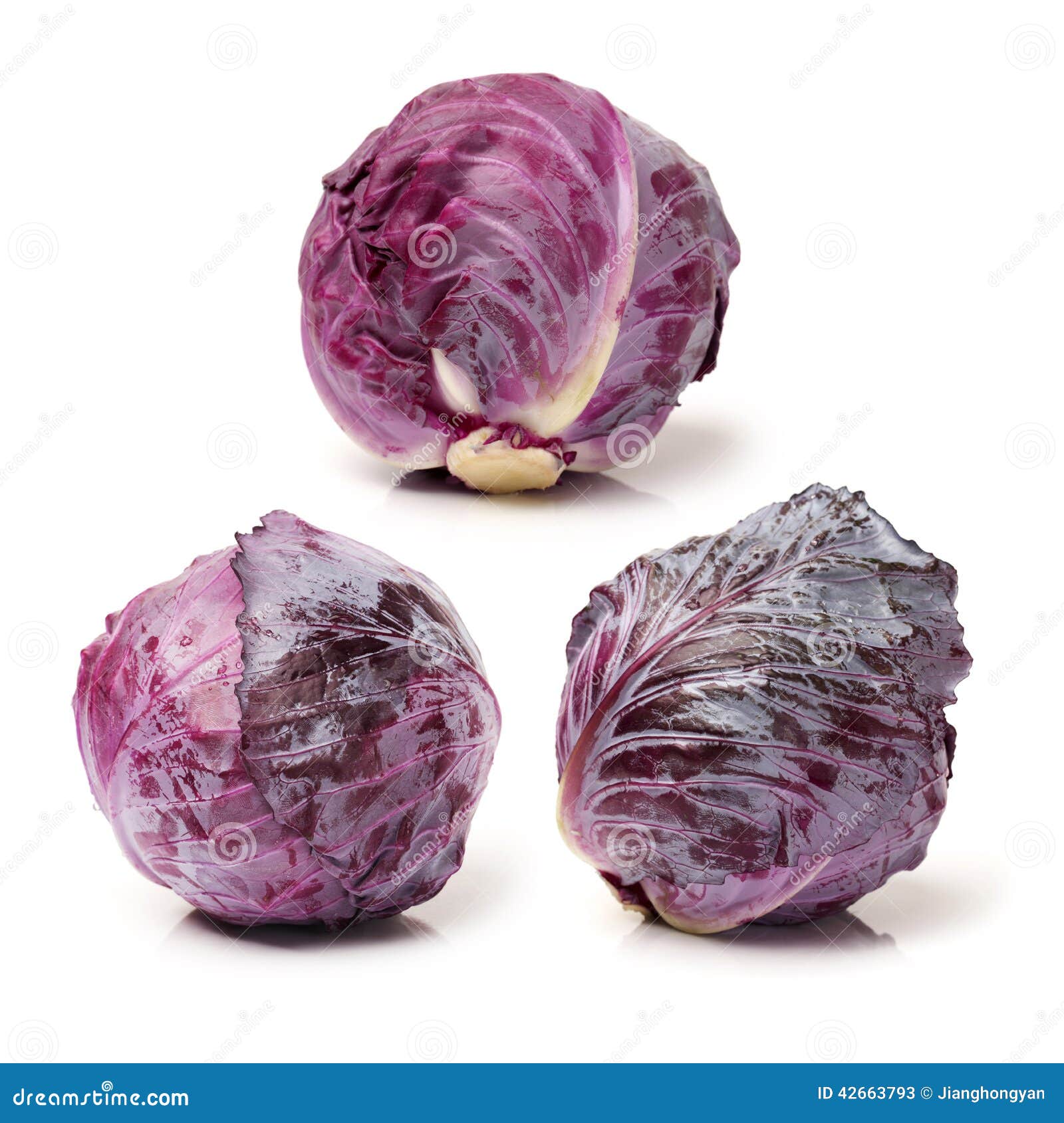 Red cabbage stock image. Image of isolated, produce, cabbage - 42663793