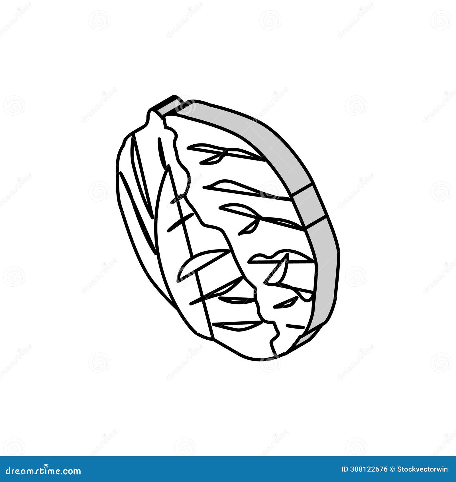 Red Cabbage Isometric Icon Vector Illustration Stock Vector ...