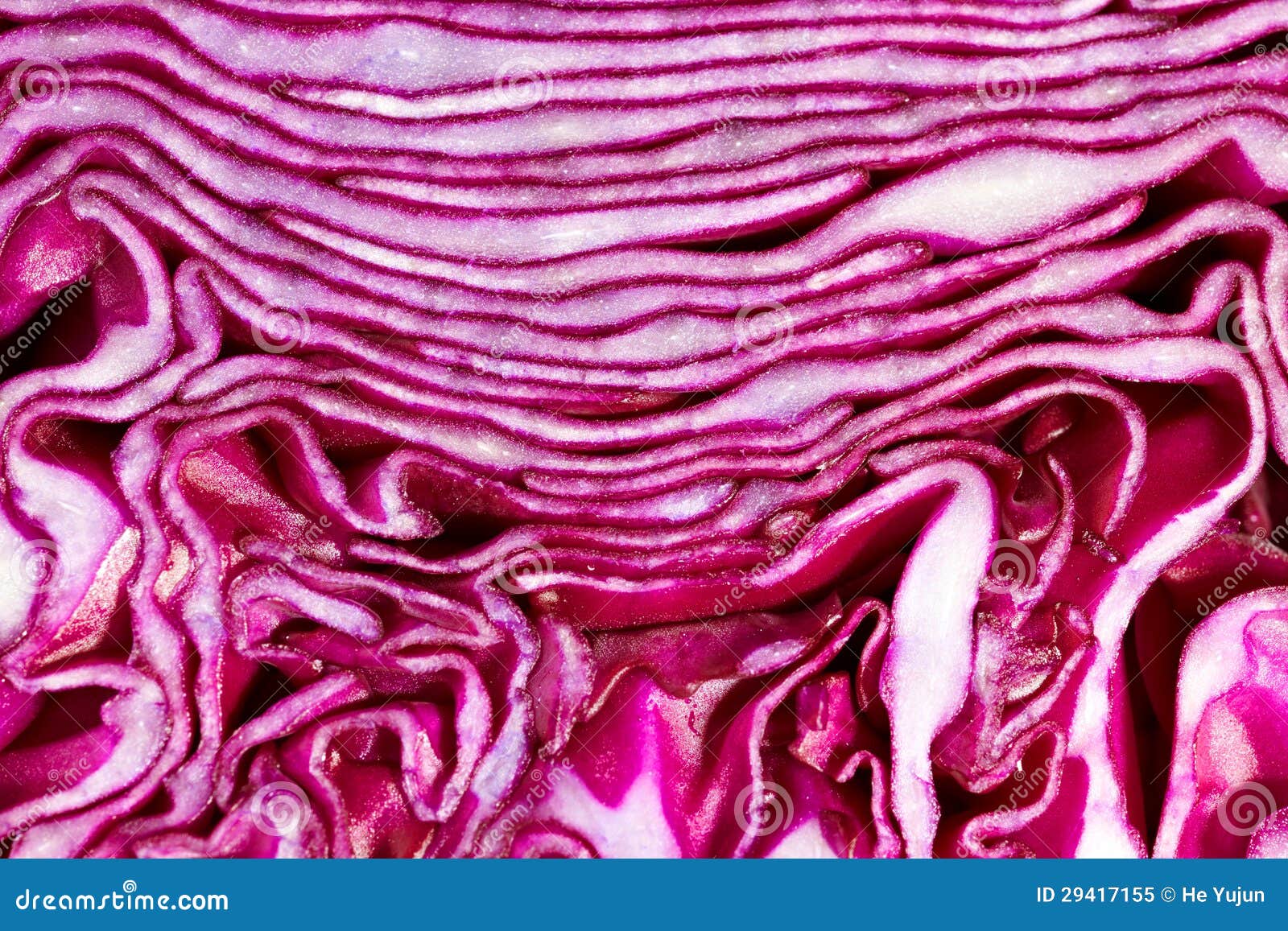 Red Cabbage macro stock image. Image of closeup, vegetable - 29417155
