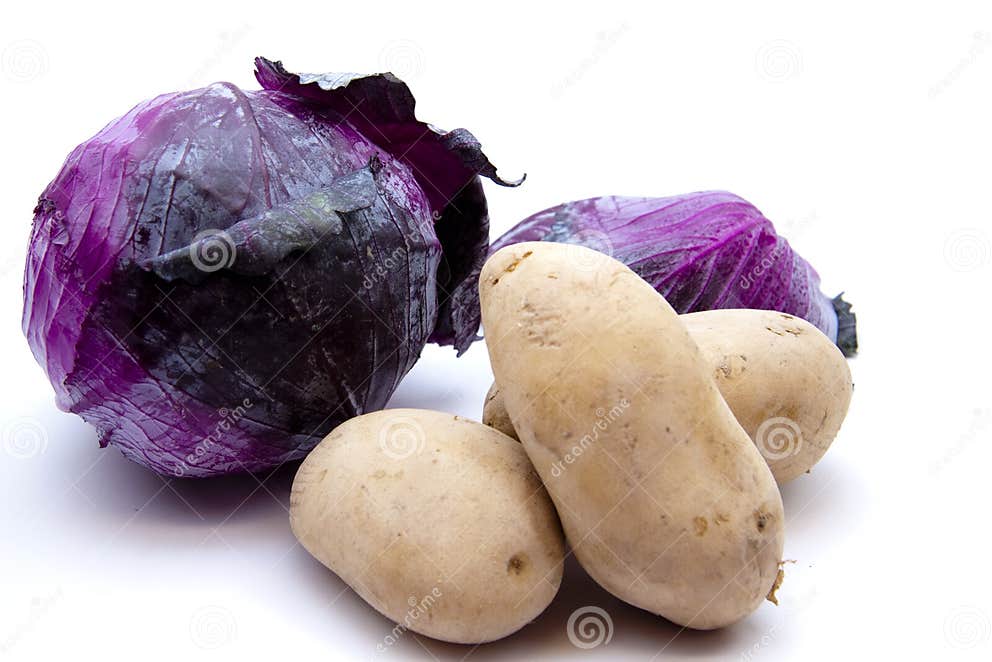 Red cabbage and potatoes stock photo. Image of cabbage - 34824456