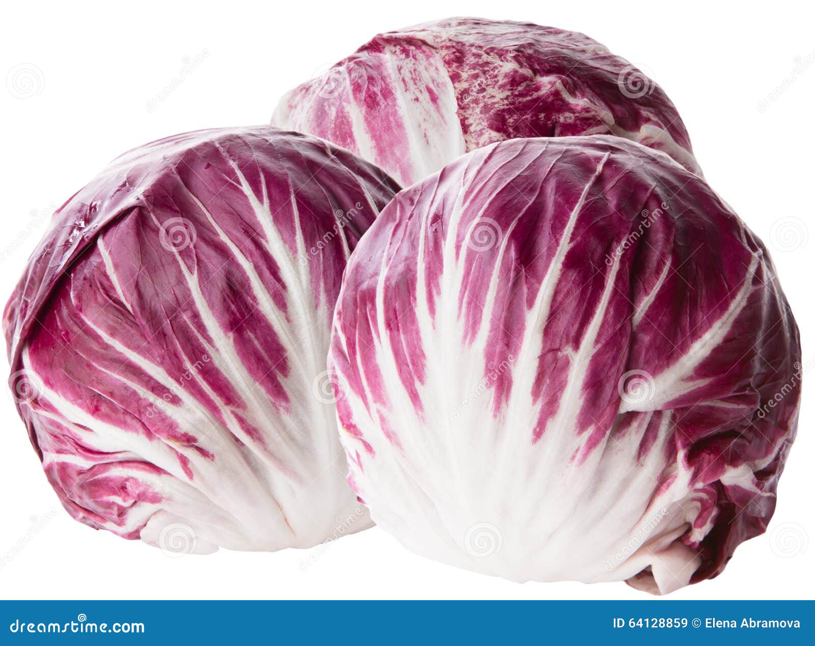 Red Cabbage Radicchio Isolated on White Stock Image - Image of crunchy ...