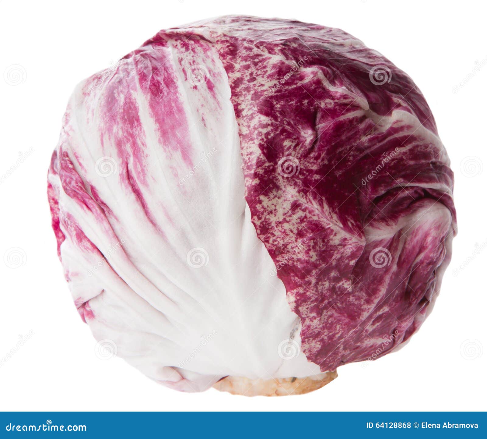 Red Cabbage Radicchio Isolated on White Stock Photo - Image of salad ...