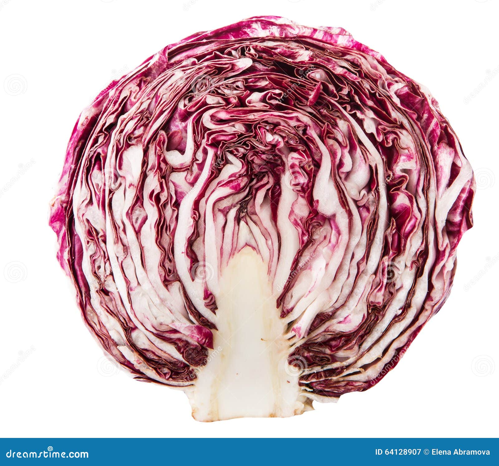 Red Cabbage Radicchio Isolated on White Stock Image - Image of ...