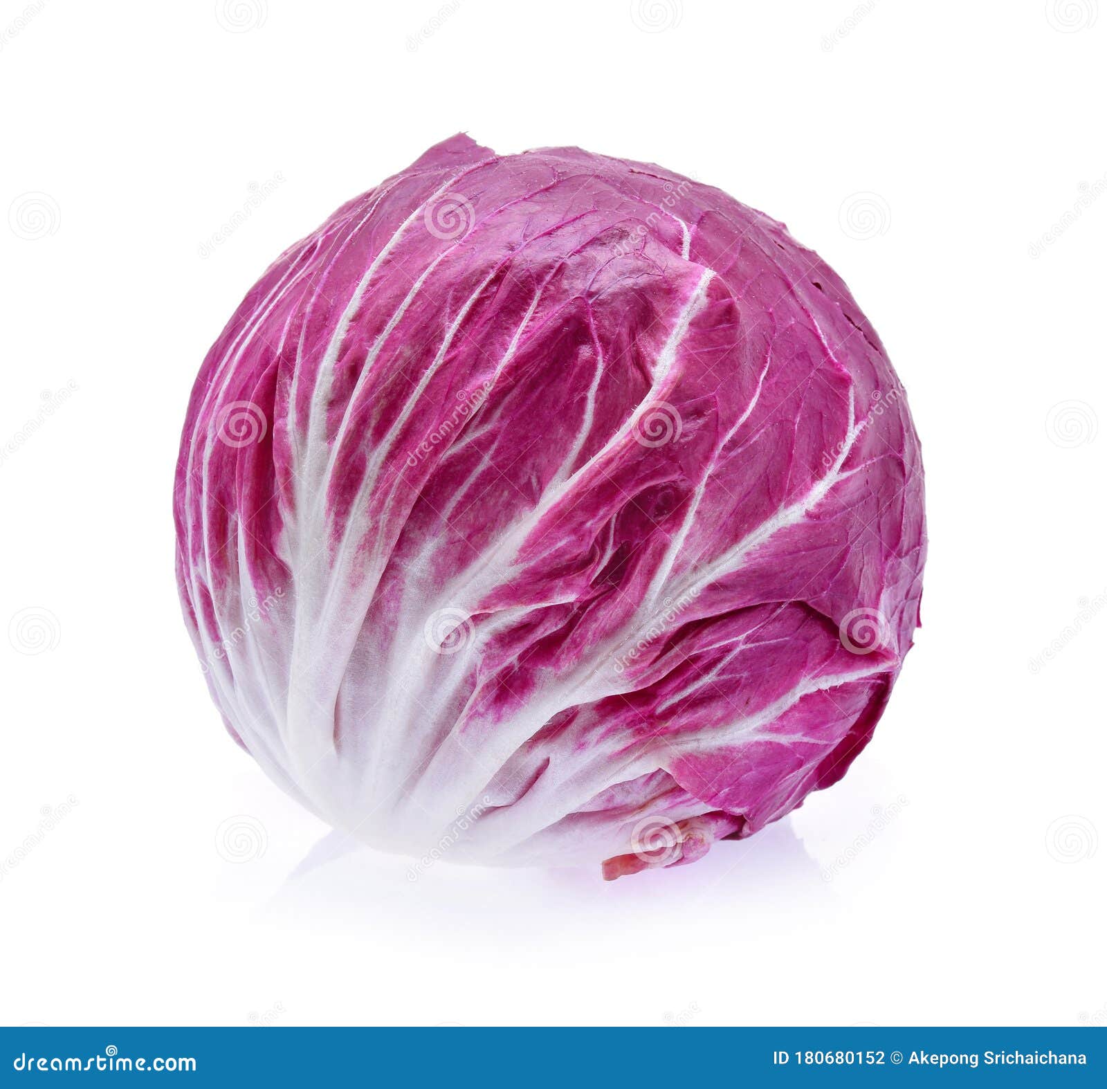Red Cabbage Radicchio Rosso Isolated on White Stock Photo - Image of ...